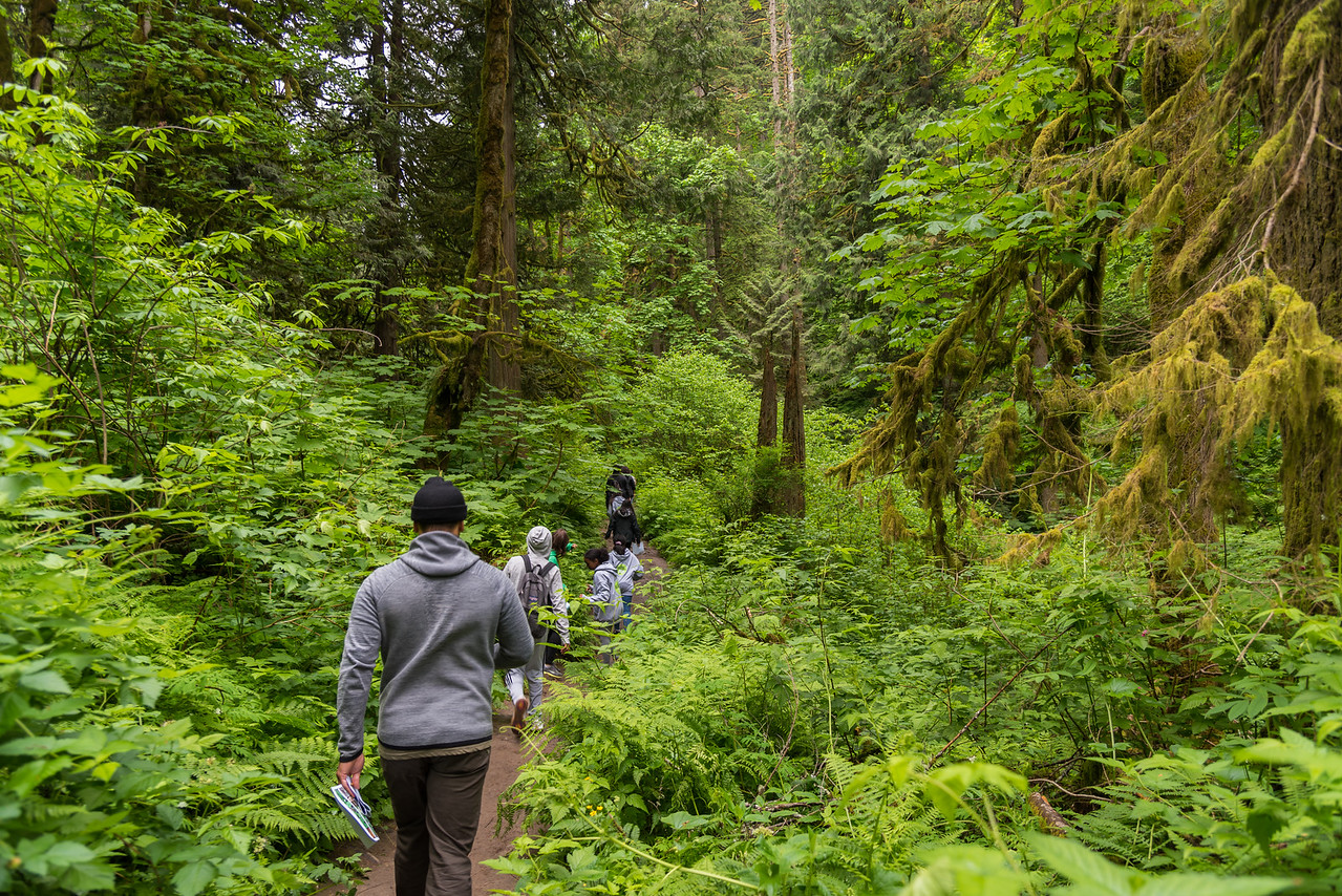 Building Bridges for Diversity, Equity and Inclusion in Oregon’s Parks ...
