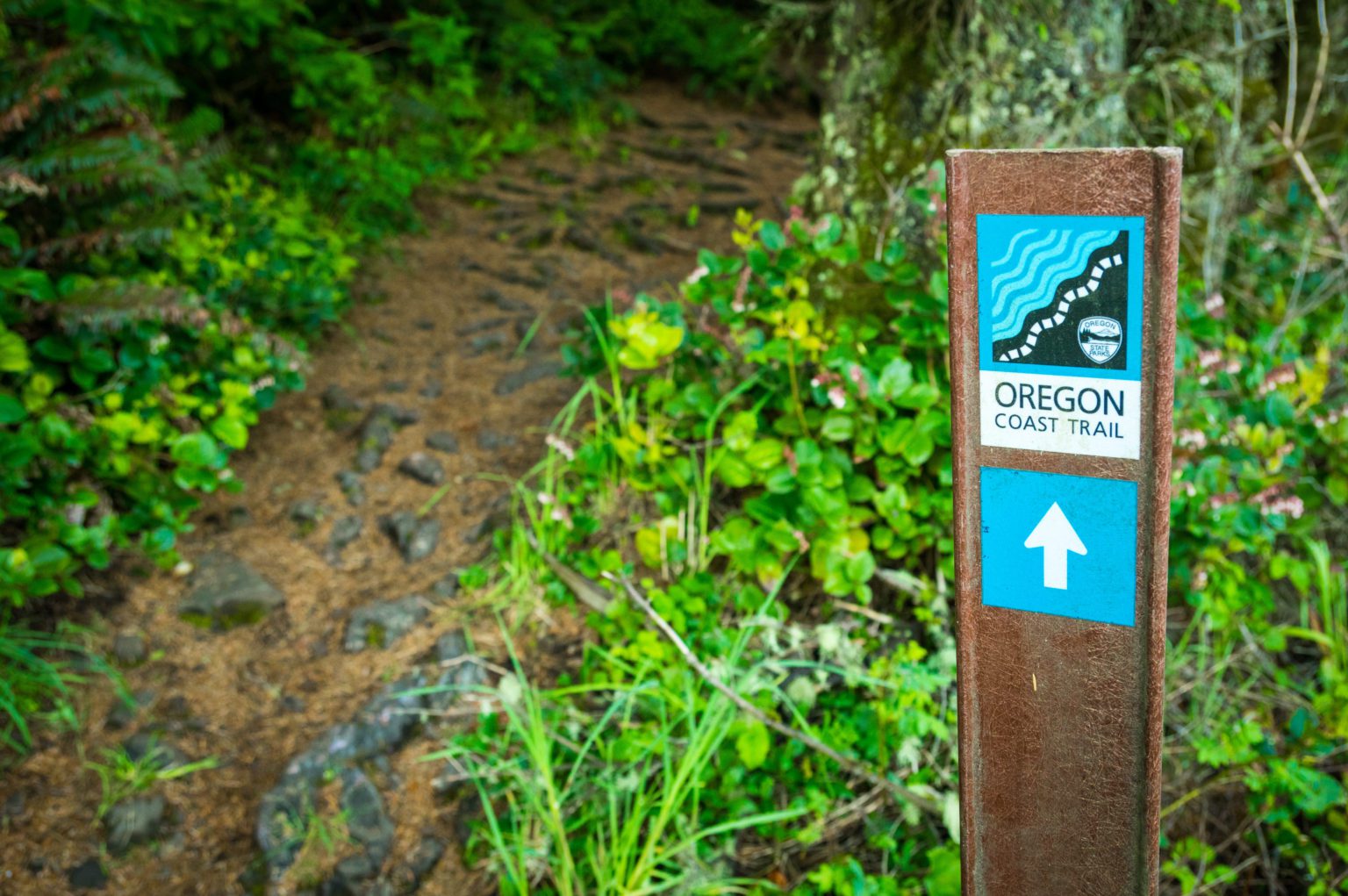 Try Day-Hiking These Epic Backpacking Trails in Oregon – Oregon Parks ...