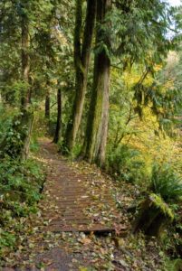 Adventure Out for Fall Colors in Oregon – Oregon Parks Forever